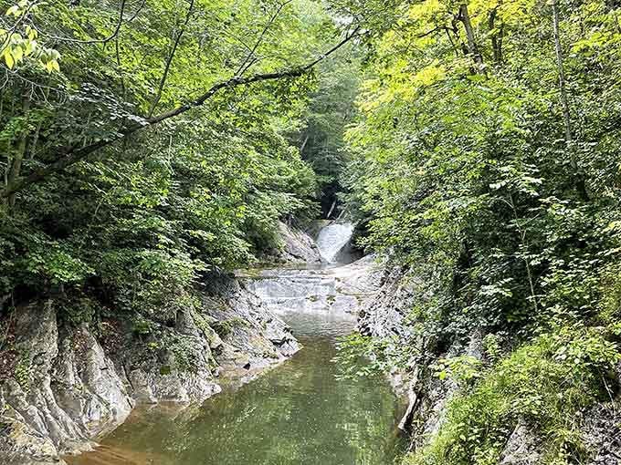 Cedar Creek has been carving this masterpiece for millions of years, and it's still not done showing off.