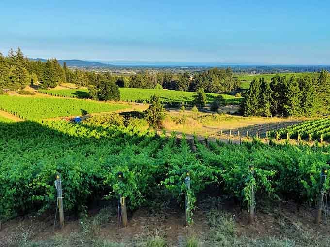 Rolling hills meet endless ocean, because Oregon refuses to do anything halfway when it comes to scenery.