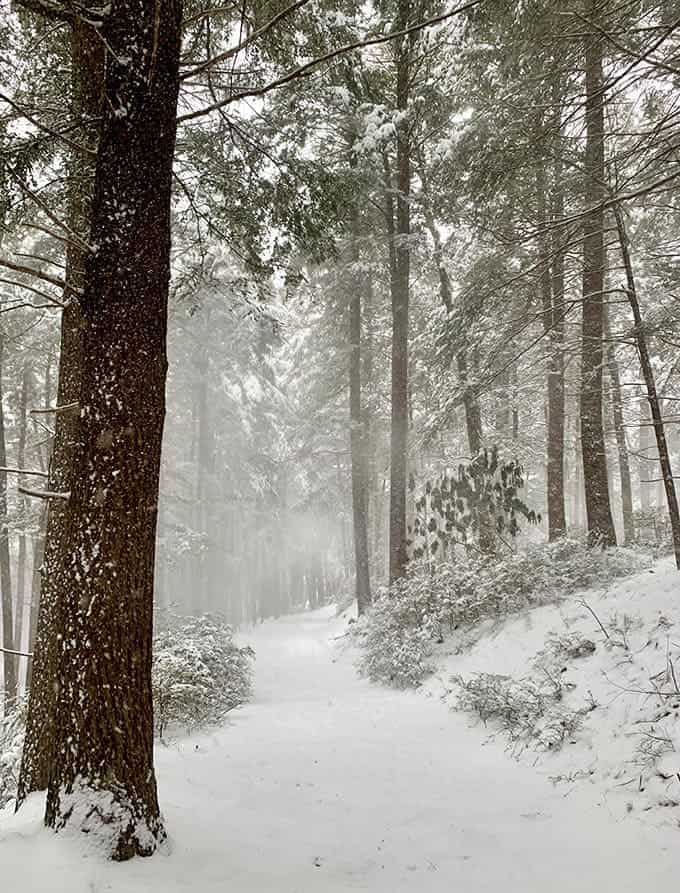 Winter transforms the trails into a Narnia-worthy wonderland, minus the White Witch but with all the magic.