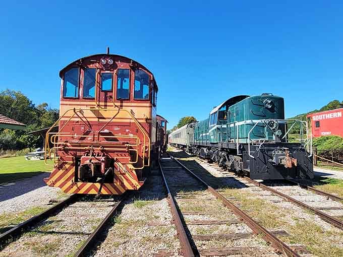 Two locomotives facing off like old friends comparing war stories from decades on the rails together.