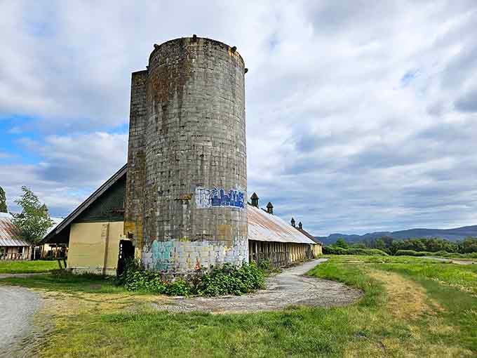The silo dominates the landscape like a concrete lighthouse guiding visitors to this agricultural time capsule below.