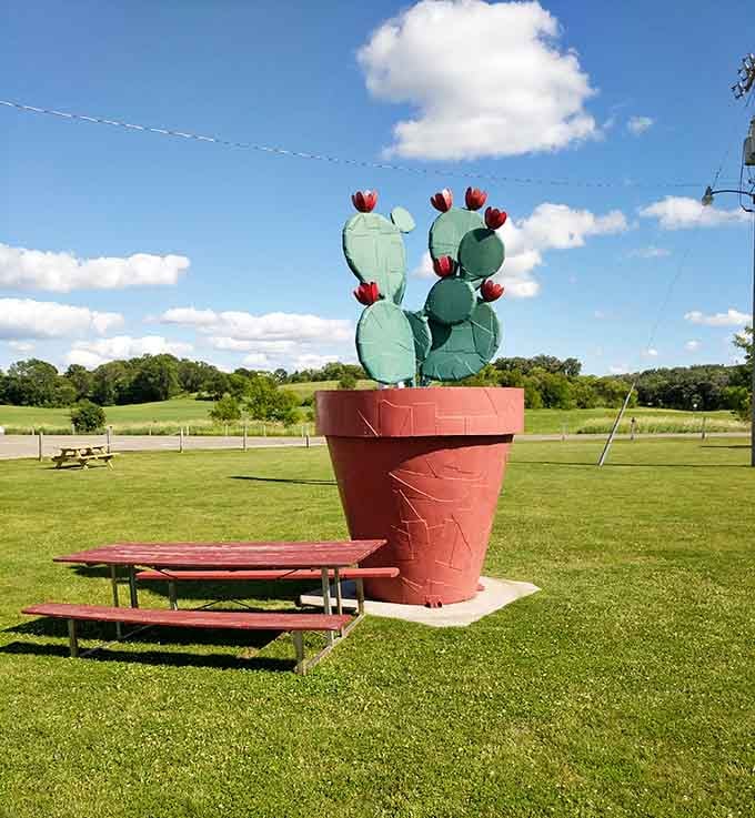 This towering potted cactus brings desert vibes to Minnesota, because why should Arizona have all the fun?