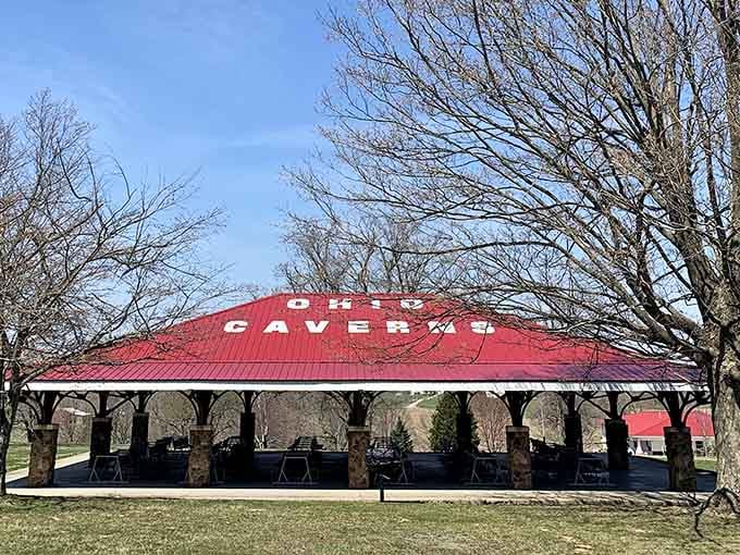 The perfect spot for a picnic before or after your underground adventure, because exploring makes you hungry.