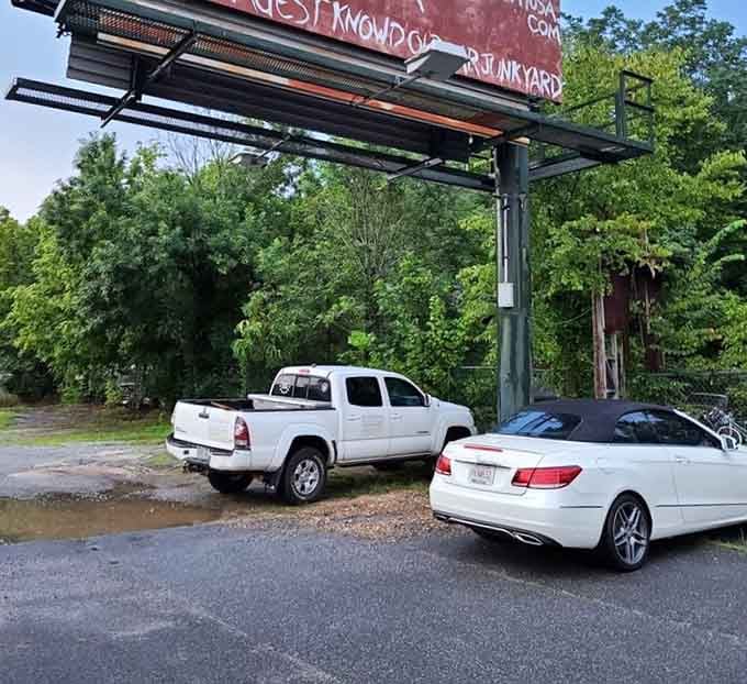 Even the parking lot feels like part of the exhibit, blurring lines between visitor and attraction.