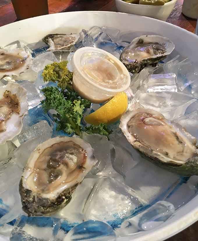 Fresh oysters on ice&mdash;nature's perfect appetizer. These briny treasures from the sea are like little pools of ocean happiness, just waiting for a squeeze of lemon.