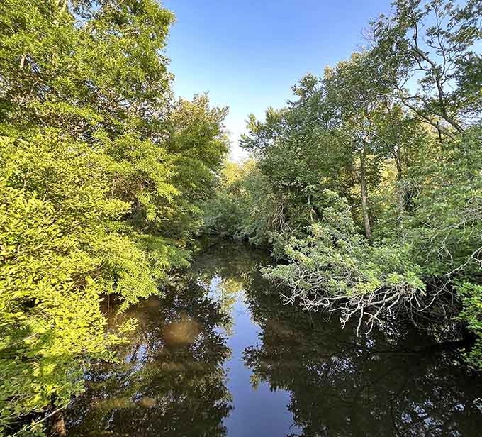 Cedar-tinted waters winding through lush greenery, nature's own scenic highway without the tolls or traffic.