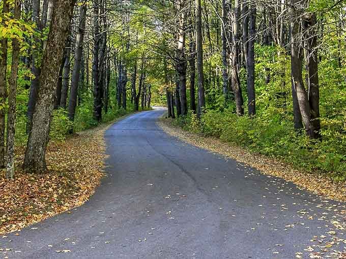 The kind of road that makes you roll down your windows and inhale deeply, even if you're just driving to the shower facilities.