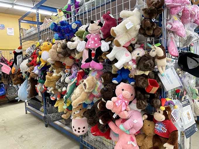 A mountain of plushies waiting for second chances at being loved, hugged, and occasionally used as pillows.