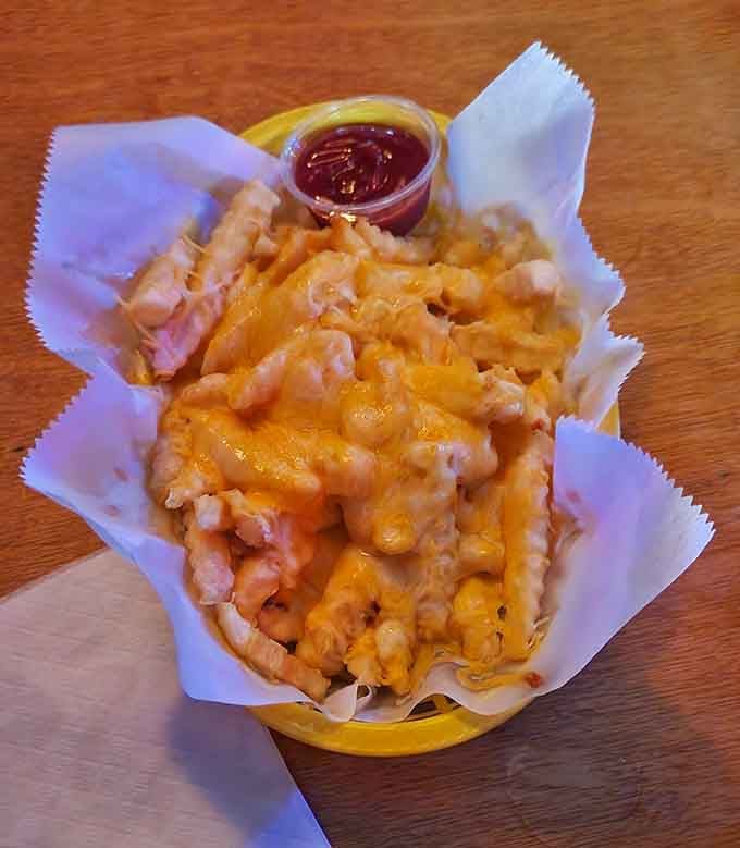 Cheese fries that could feed a small army or one very determined person with excellent life priorities today.