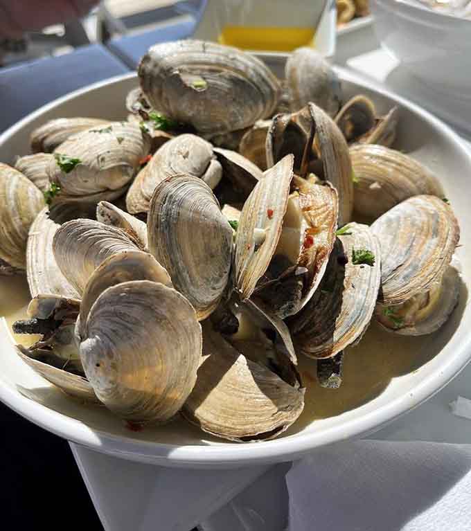 Steamed clams in their shells prove that sometimes the simplest preparations are the most soul-satisfying ones.