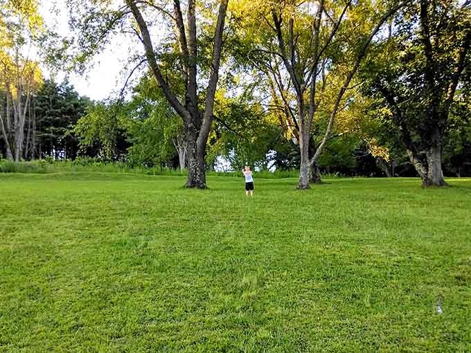 Green spaces like this remind you that parks are free therapy sessions with better views.