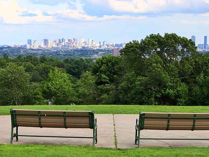 Benches positioned perfectly for grandparents to watch the chaos unfold from a safe, comfortable distance.