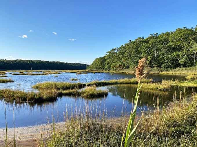 Mother Nature's own watercolor painting, complete with marsh grasses that sway better than most dancers.