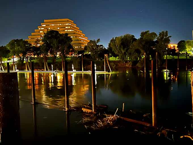 The parkway at night transforms into something magical, with lights dancing on water like urban fireflies showing off.