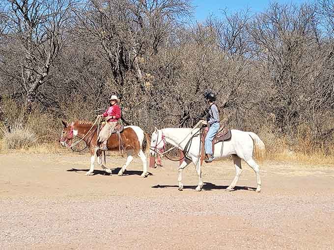 Horseback riding through Fairbank adds an authentic Old West touch that no car tour could ever replicate.
