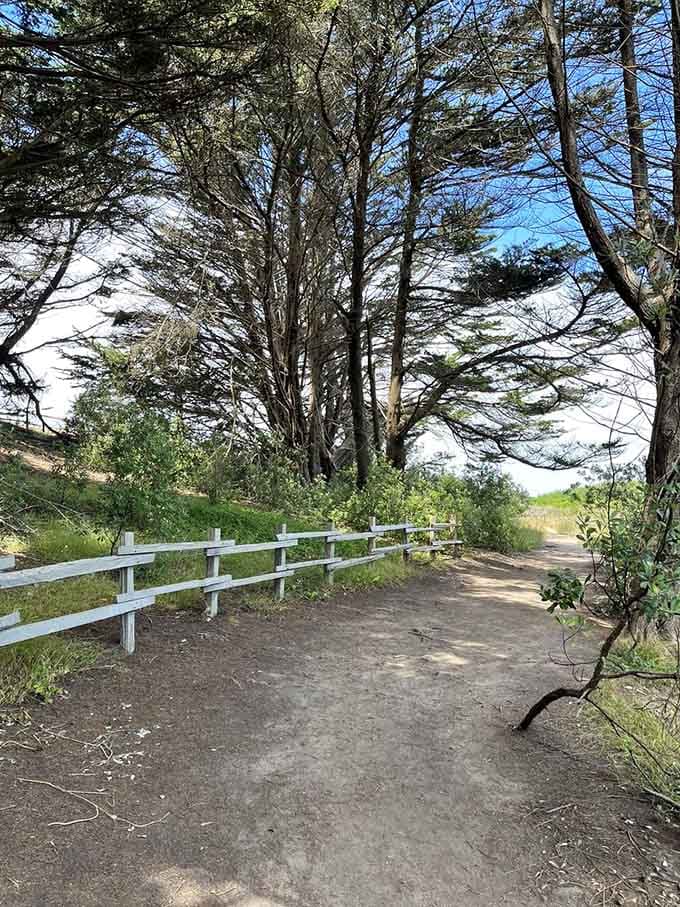 This peaceful trail invites contemplation, or at least a moment away from wondering what's happening on social media right now.