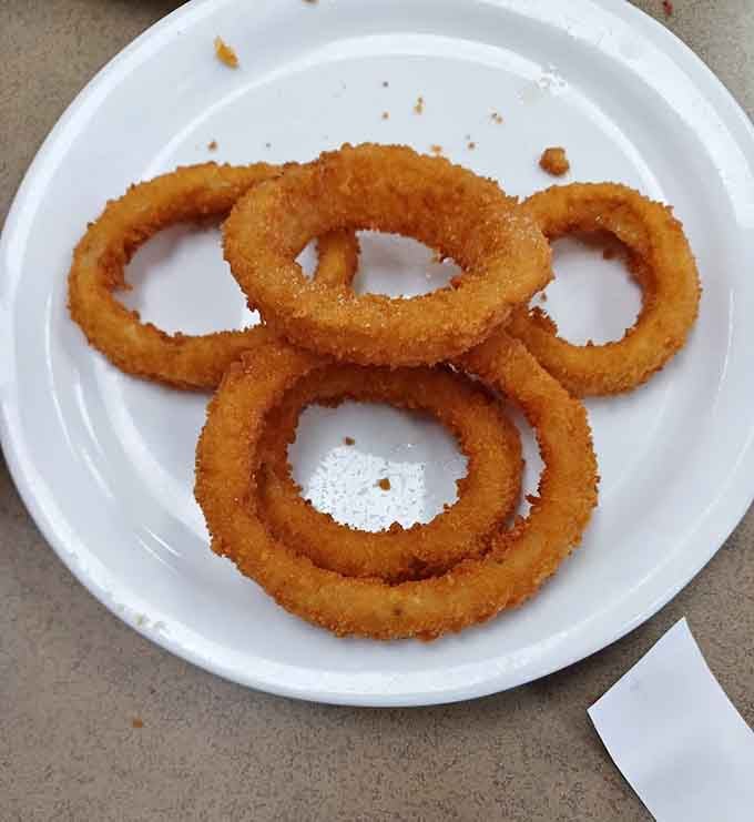 Golden onion rings so perfectly crispy, they could teach a masterclass in how fried food should behave.