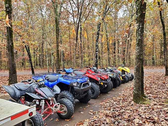 A rainbow of ATVs lined up like eager students on the first day of adventure school.