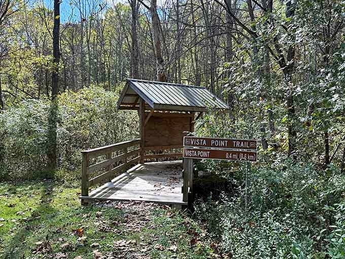Vista Point Trail promises exactly what it advertises, unlike most things in life that overpromise and underdeliver spectacularly.