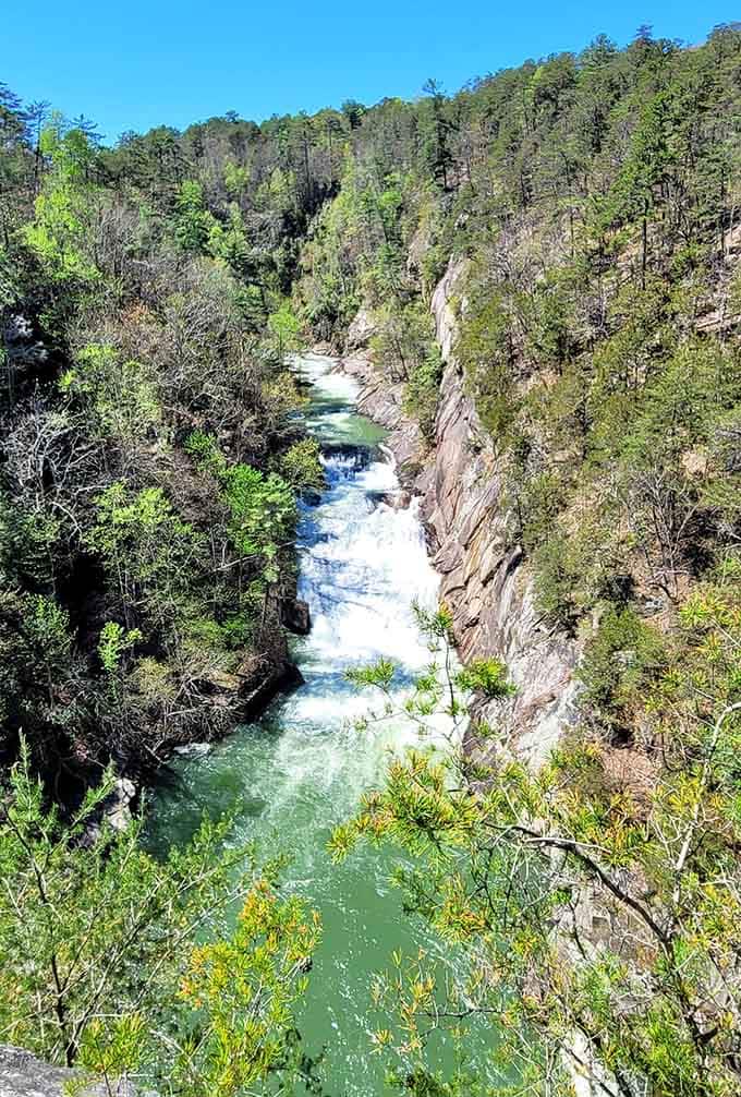 L'Eau d'Or Falls cascading through the gorge proves nature doesn't need a filter to look this good.
