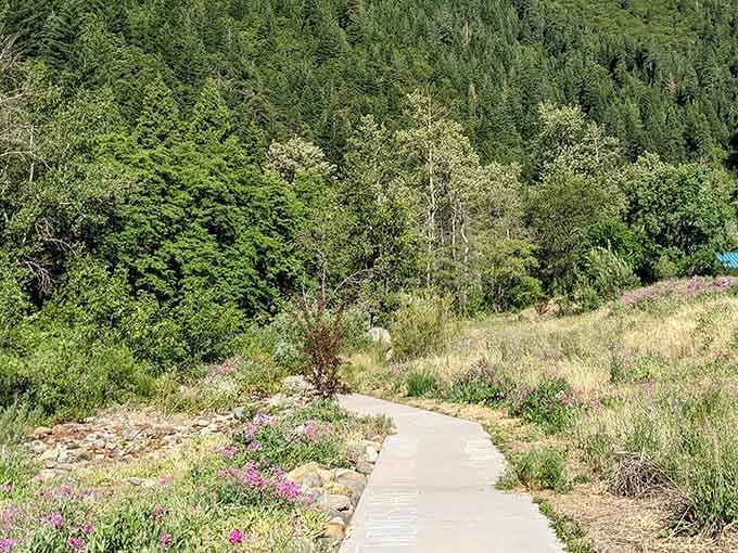 Tauhindauli Park's winding paths lead through wildflower meadows toward forest trails, proving that the best amenities in Dunsmuir don't come with a price tag.