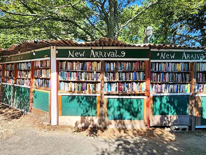 New arrivals get their own outdoor showcase because even used books deserve a proper debut.