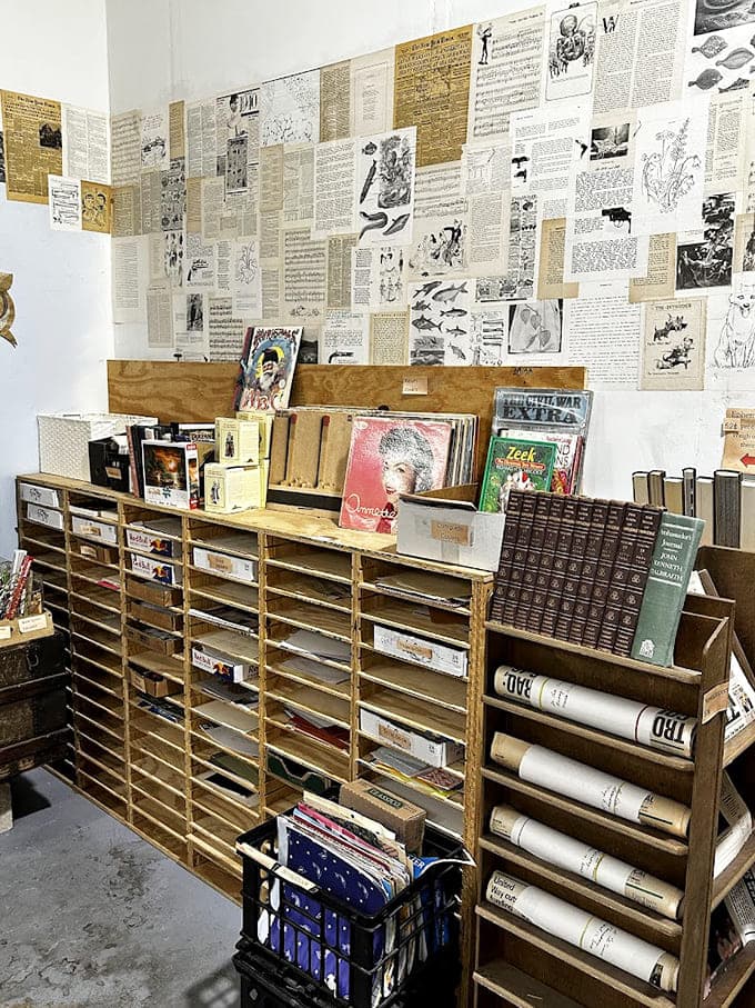 Book pages wallpaper the walls like literary art, proving rescued books have multiple lives to live beautifully.