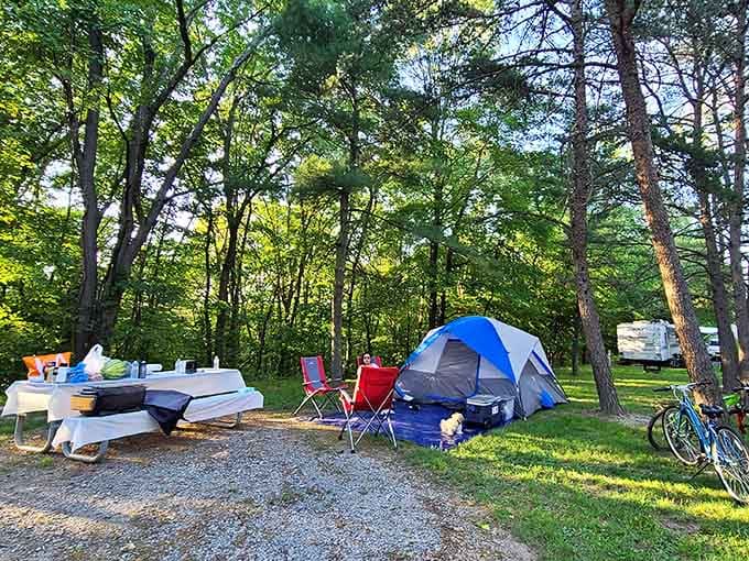 Camping at Cunningham Falls means sleeping under stars that actually twinkle instead of being drowned out by city lights.
