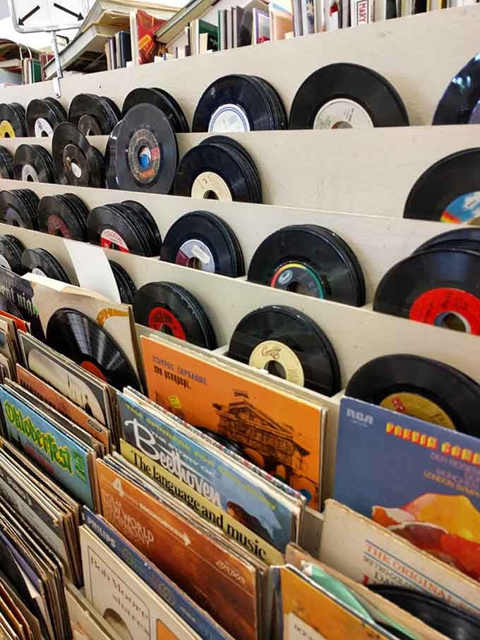 Vinyl paradise for analog audiophiles&mdash;where forgotten albums become tomorrow's vintage treasures and wall art masterpieces.
