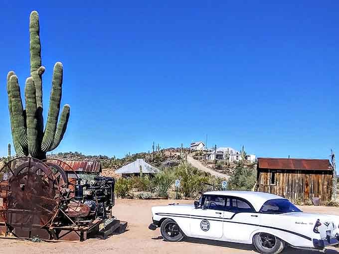 That towering saguaro and vintage patrol car create a uniquely Arizona tableau you won't find anywhere else.