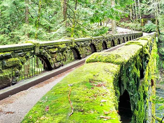 Moss-covered stone and cascading water create a scene that belongs on a postcard you'd actually want to receive.