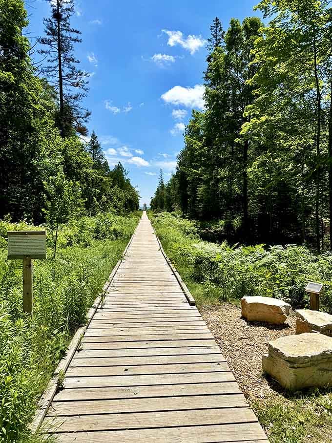 This boardwalk leads through wetlands where nature does its thing and you get front-row seats.