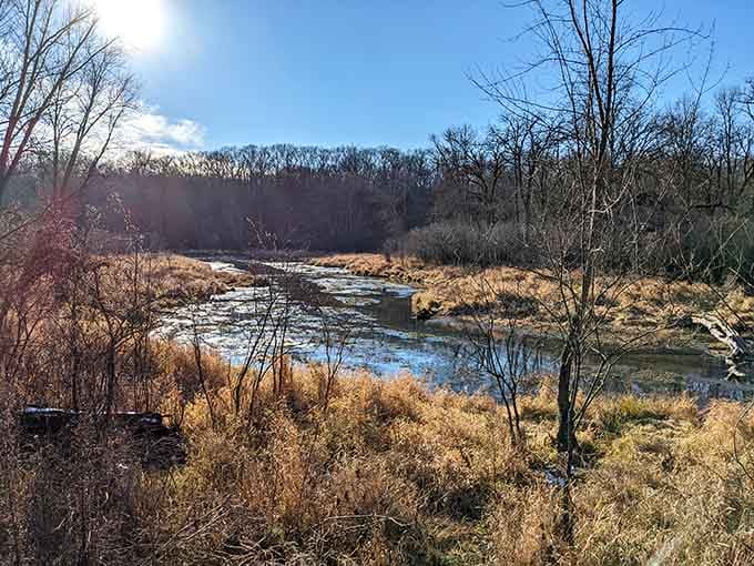 Winter light hits the frozen landscape like nature's own mood lighting for contemplative moments.