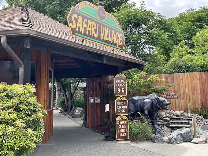 Safari Village welcomes you to stretch your legs after all that sitting and giraffe-gawking from your car.