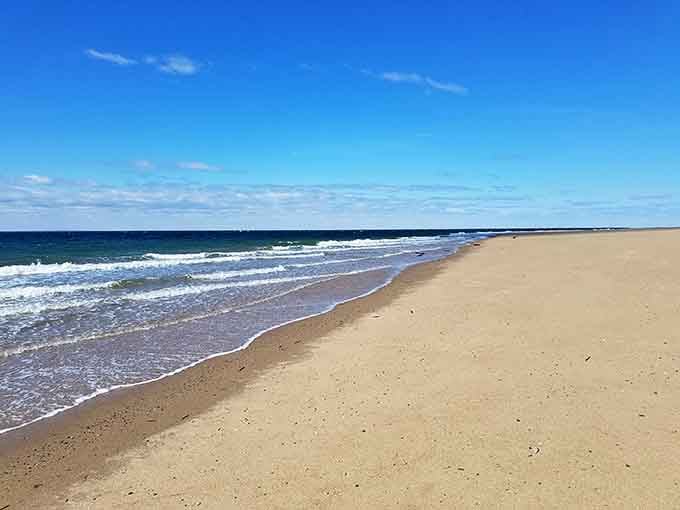 Miles of pristine beach stretch in both directions, making you feel like you've discovered your own private coast.