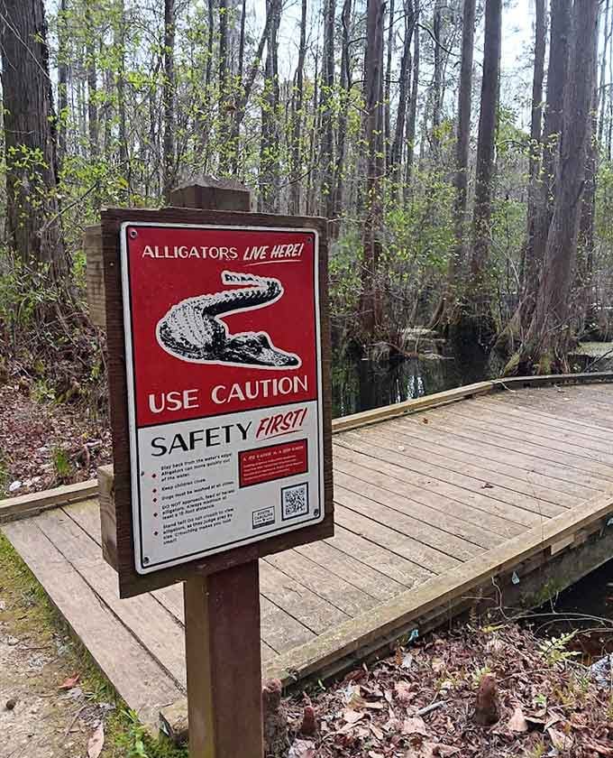 That sign isn't kidding around, folks. The gators were here first and they're not moving out.