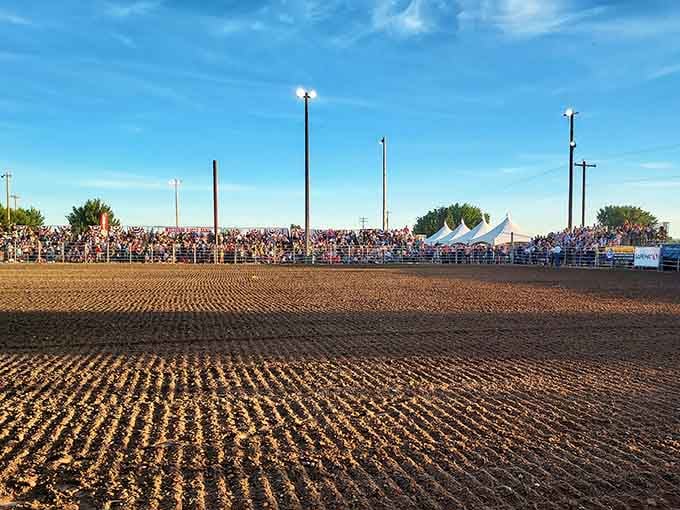 Rodeo crowds gather under big skies, where entertainment doesn't require a streaming subscription or Wi-Fi password.