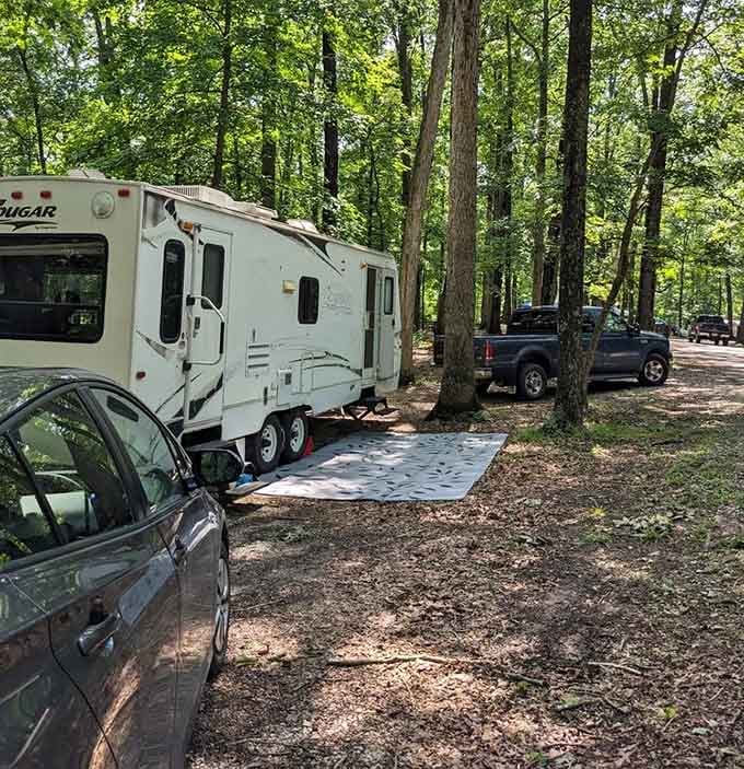 Camping among the giants. These towering trees have been hosting family memories long before "glamping" became a hashtag.