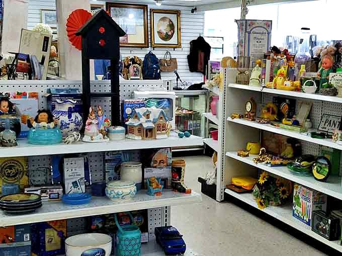 Nostalgia for sale! This corner of collectibles and knickknacks is where childhood memories come with surprisingly reasonable price tags.