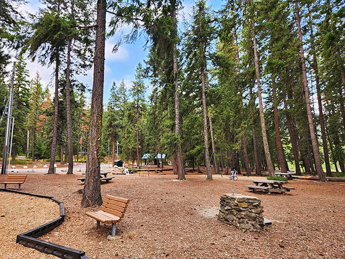 This isn't just a campground&mdash;it's an outdoor living room where pine needles replace carpet and the ceiling is an endless blue canvas occasionally decorated with clouds.