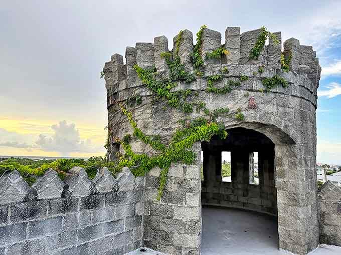 The castle's crown offers more than just medieval aesthetics&mdash;ivy creeps between stone crenellations, nature slowly reclaiming what man has built.