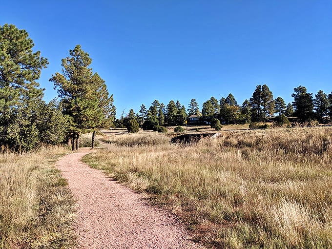 A trail that whispers "take your time." The kind of path where every step feels like you're walking through a Bob Ross painting come to life.