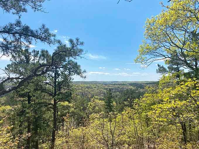 A vista worth every step of the climb. Missouri shows off its natural splendor with a view that makes social media scrolling seem utterly pointless.