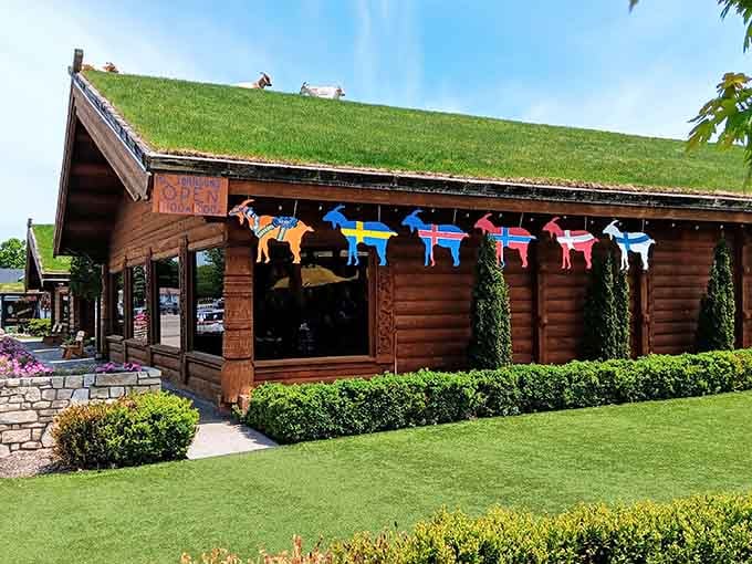 Goats grazing on a grass roof make this log cabin restaurant unforgettable before you even taste the Swedish pancakes.