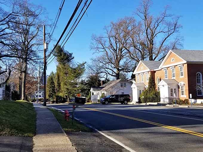 Allentown's tree-canopy streets create natural tunnels of green where historic homes nestle like precious gems in a setting.