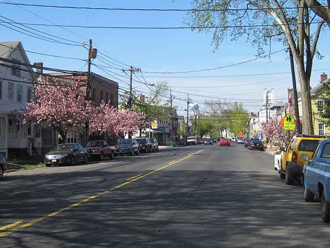 Cherry blossoms frame Main Street like nature's own welcome banner, announcing spring has officially arrived in Monmouth County.