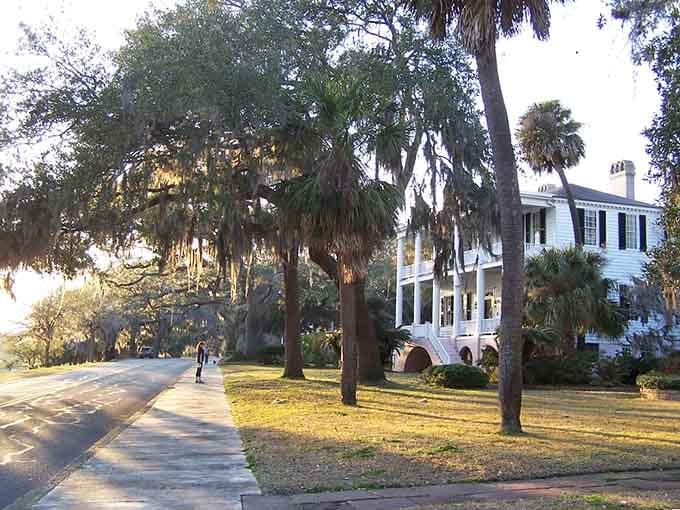 Golden hour light filters through palmettos and oaks, painting everything in that magical glow photographers dream about nightly.
