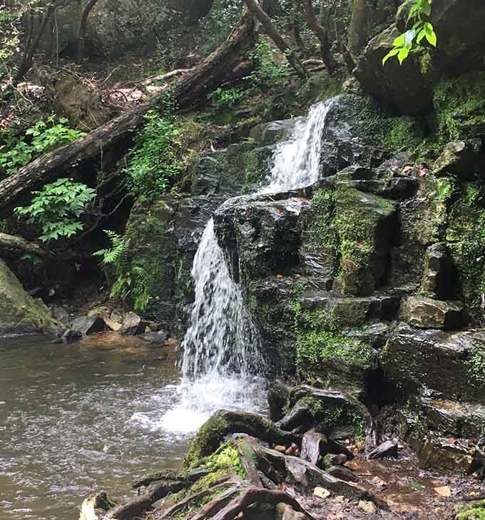 FDR knew a good thing when he saw it – Cascade Falls' stair-step design is the natural world's answer to Frank Lloyd Wright.