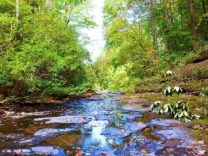 Water tumbles down layered rock into an emerald pool surrounded by ferns and ancient stone walls.