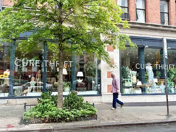 Tree-lined streets frame this sophisticated thrift shop that looks more like a boutique than your grandmother's attic sale.